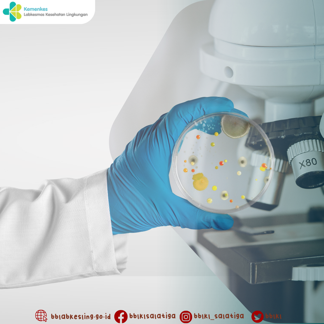 Siapa dan Apa Sebenarnya Fungsi Labkesmas dalam Transformasi Kesehatan?
